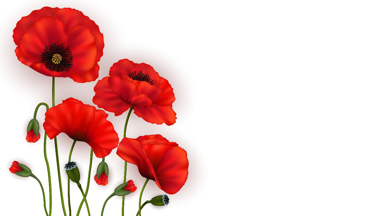 The 10 Most Popular Flowers for Funerals